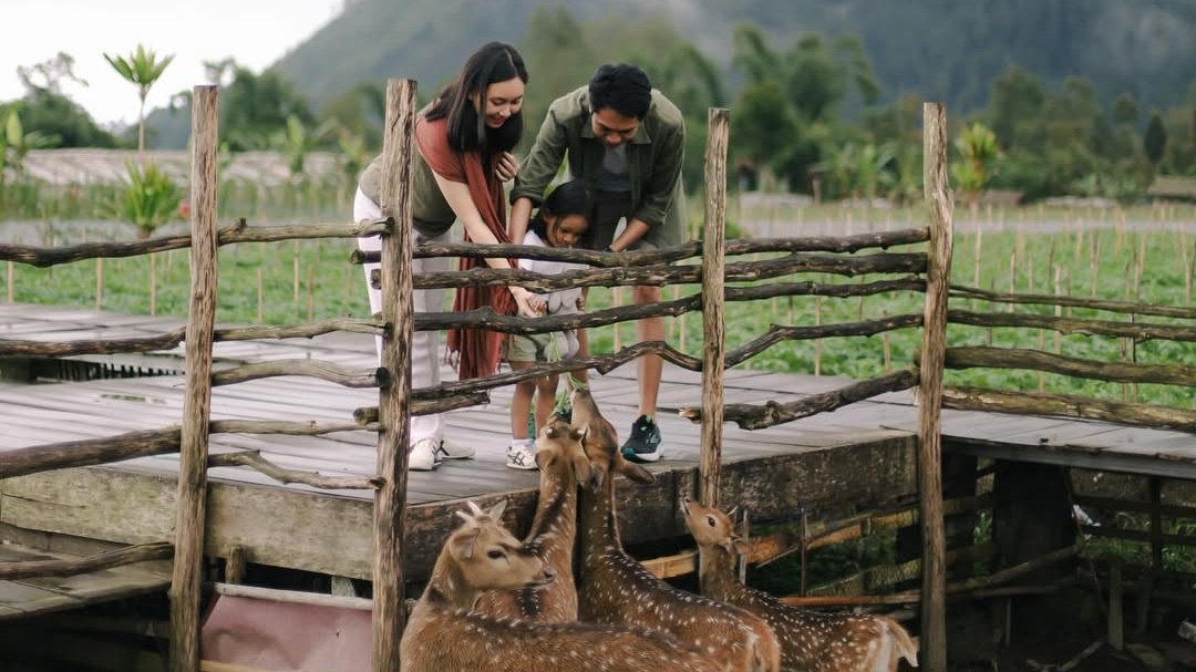 Rekomendasi Mini Zoo di Cafe dan Resto Magelang, Salah Satunya 10 Menit dari Candi Borobudur!