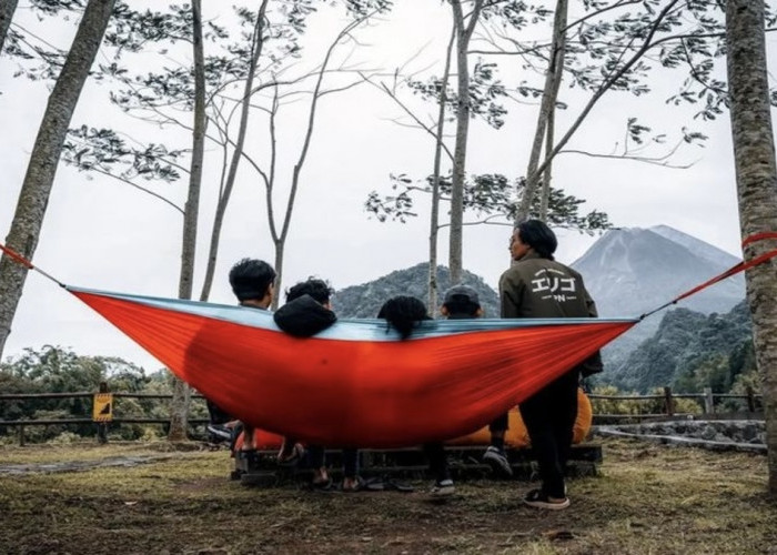 Memandang Pemandangan Gunung Merapi yang Gagah dan Eksotis bisa Kamu ...