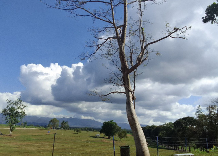 Bak di New Zealand! Wisata Alam di Magelang Ini Jadi Favorit Healing