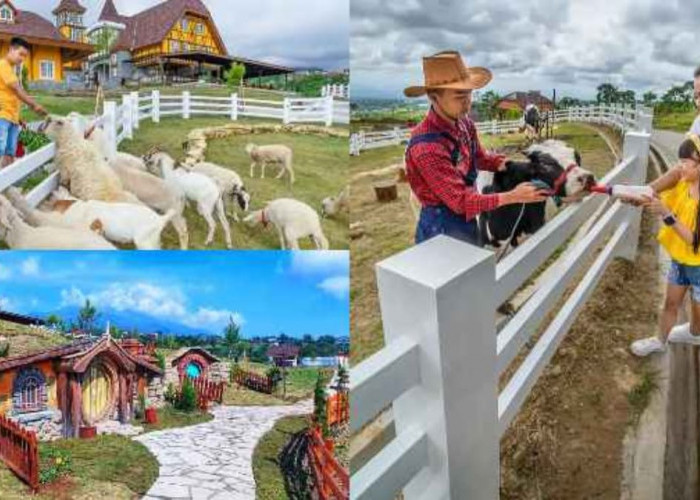 Cimory Cepogo Cheese Park, Wisata Favorit Anak Anak Yang Ada Di Boyolali!